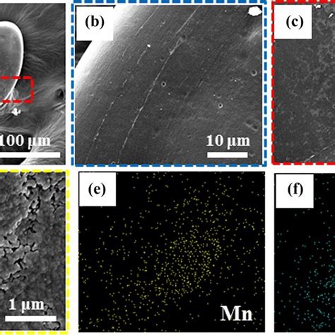 A Schematic Illustration Of A Coaxial Capillary Microfluidic Device For