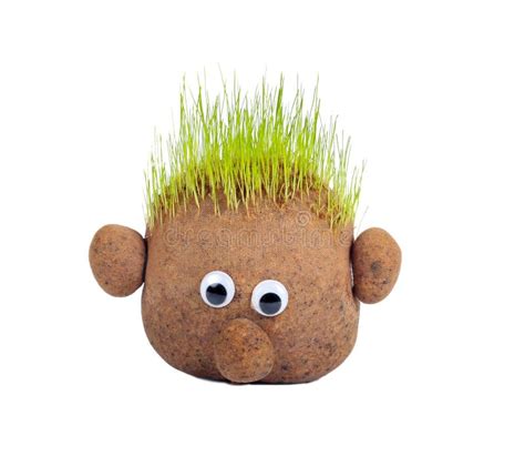 Potato Head With Grass Stock Image Image Of Environment 40814941