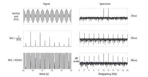Assessing Connectivity With Phase Locking Value Sapien Labs Shaping The Future Of Mind Health