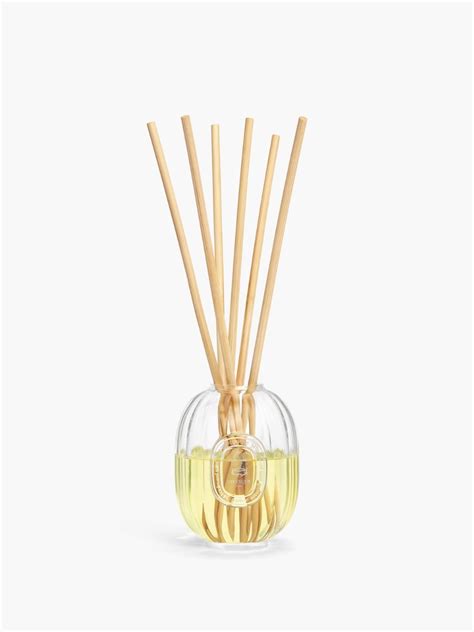 Home Fragrance Diffuser Glass Vessel 100ml Diptyque Paris