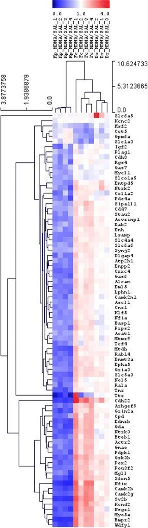Two Way Hierarchical Clustering Of Representative Genes Selected From