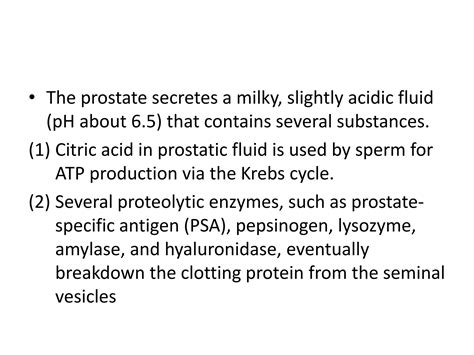 Anatomy And Physiology Of Male Reproductive System Pptx