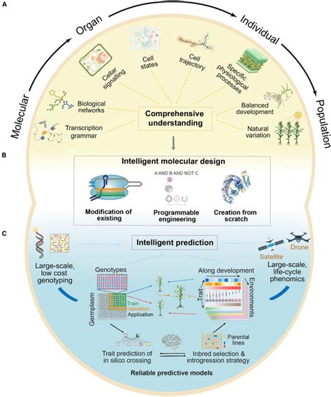 Maize2035 A Decadal Vision For Intelligent Maize Breeding Molecular Plant
