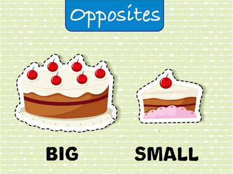 Opposite Words For Big And Small 298660 Vector Art At Vecteezy