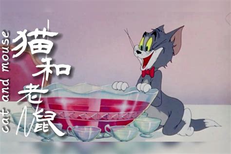 猫和老鼠猫鼠大战拉开序幕双方实力旗鼓相当究竟谁能获胜 双方 猫鼠 实力