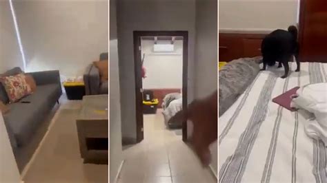 Alcaldesa De Tijuana Que Se Mudó A Cuartel Militar Por Amenazas Mostró En Video Cómo Es Su
