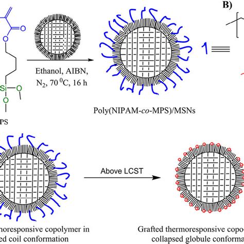 Electron Micrograph Of A Small Region Of A Rat Cerebral Cortex With A Download Scientific