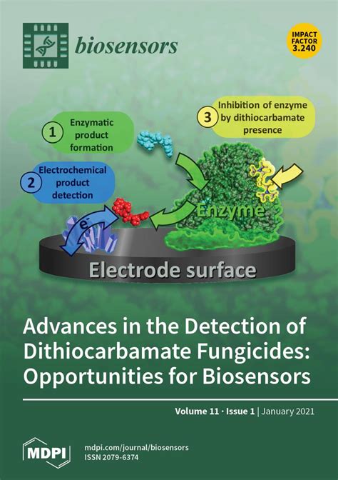 Biosensors Mdpi On Linkedin Coverstory Detection Fungicides Biosensors