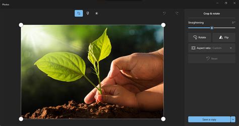 How To Fix Fuzzy Photos Quick Solutions