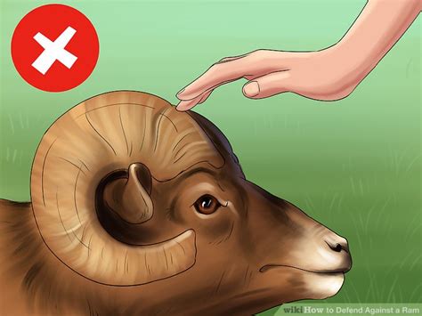 How To Defend Against A Ram 7 Steps With Pictures Wikihow