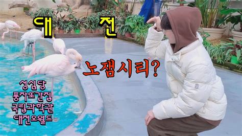 Vlog 대전 노잼시티 아닐지도 성심당 🍞 오월드 🎠 국립과학관 🔍 풍자 또간집 🍚 광천식당 Youtube