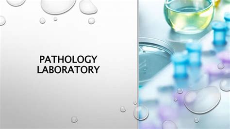 Pathology Laboratory Pptx