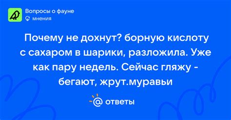 Почему не дохнут борную кислоту с сахаром в шарики разложила Уже как пару недель Сейчас