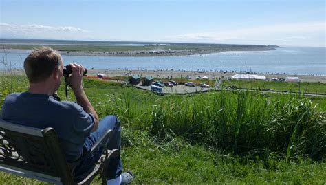 Some Fishy Facts About Dip Netting In Alaska Lowes Travels Some Fishy Facts About Dip Netting In Alaska Lowes Travels