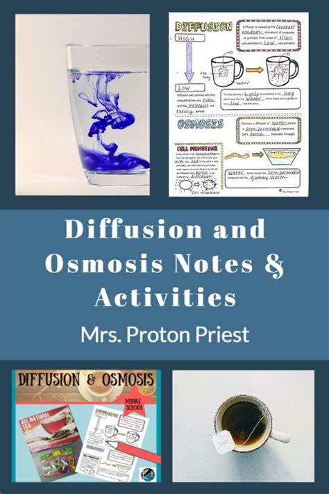 Diffusion And Osmosis Science Interactive Notebook Sketch Notes Lab Activities Interactive