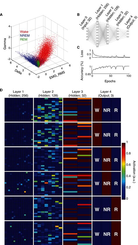 An Artificial Neural Network For Automated Behavioral State