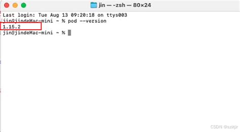 Ios 01 Cocoapods 安装与使用cocoapods 国内源 Csdn博客