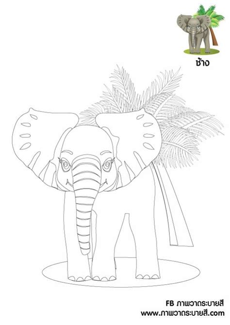 ระบายสีช้าง