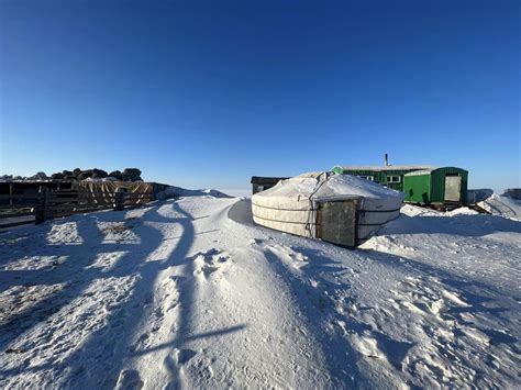 Өвөлжилт хүндэрсэн сумдын өрхүүдэд 220 тонн тэжээл хямдралтай үнээр олгоно