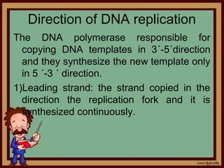 Replication Of DNA PPT