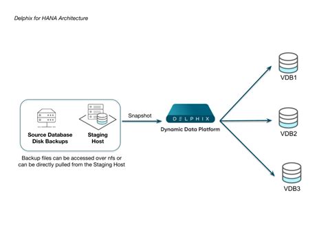 Delphix Architecture