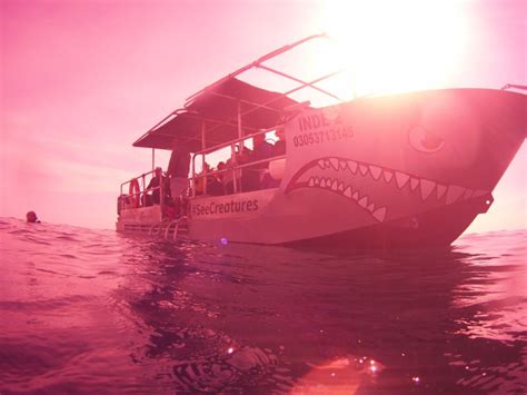 Photos Giant Stride Dive Shop