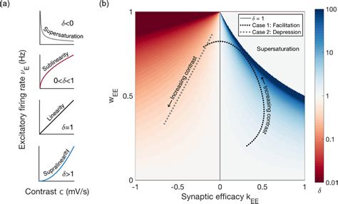 Plastic E → E Synapses Control The Susceptibility To Input Contrast δ Download Scientific