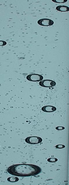 Bubble Detection Object Detection Model By Univercity