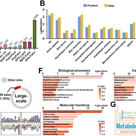 The Analysis Of The Benchmark Data Set A A Comparison Of The Data Download Scientific
