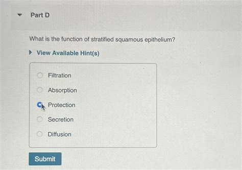 Solved Part Dwhat Is The Function Of Stratified Squamous