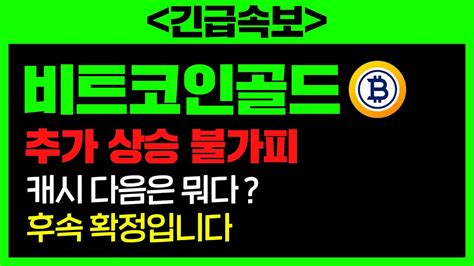 긴급속보 비트코인골드 추가 상승 불가피 캐시 다음은 뭐다후속 확정입니다비트코인골드 비트코인전망 비트코인실시간 Youtube