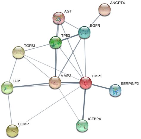 Analysis Of Protein Protein Interactions From The String Database For