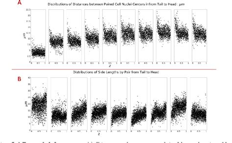 Figure 9 From An Exact Hypergraph Matching Algorithm For Posture Identification In Embryonic
