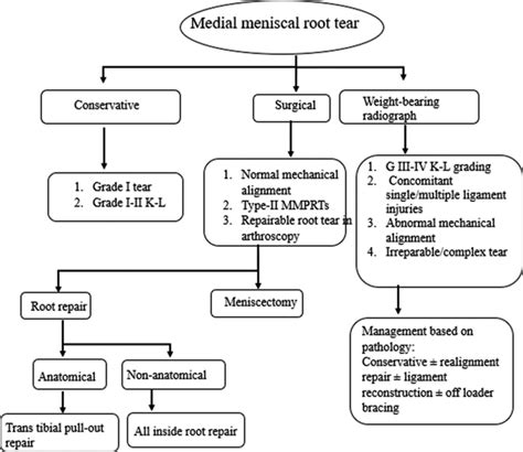 Medial Meniscal Posterior Root Tear A Current Concept Review