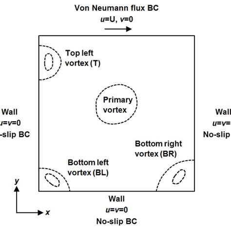Geometry And Boundary Conditions Of The Lid Driven Square Cavity Flow