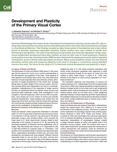 Pdf Development And Plasticity Of The Primary Visual Cortex