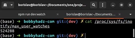 System Limit For Number Of File Watchers Reached Solved Bobbyhadz