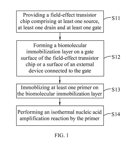Field Effect Transistor Type Biosensor And Bio Signal Amplification Method Thereof Eureka