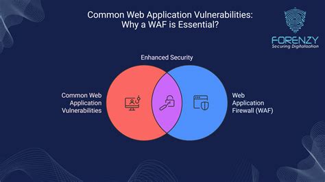 Common Web Application Vulnerabilities Why A Waf Is Essential