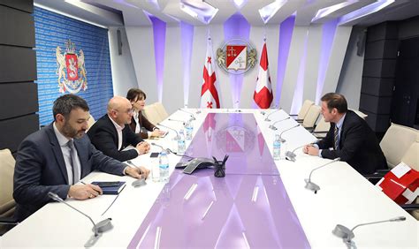 ივანე მაჭავარიანი შვეიცარიის კონფედერაციის ელჩს შეხვდა