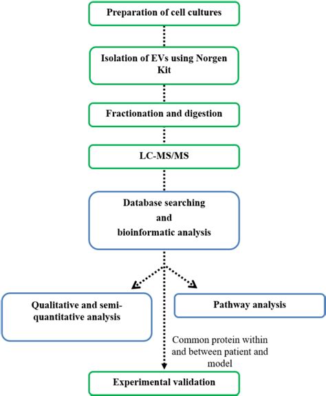 Figure 1 From Comparative Proteomic Profiling Of Secreted Extracellular