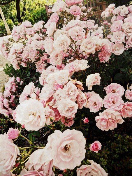 Как прекрасен этот мир посмотри