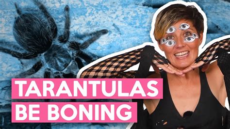 SEMEN PHEROMONES AND CANNIBALISM How Tarantulas Have Sex YouTube