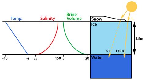 1 Gradients Of Temperature • C Salinity Ppt Brine Volume Of Download Scientific