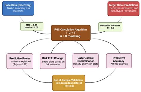 PRS Calculation Results And Validation Workflow Summary Risk Download Scientific Diagram