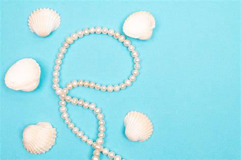 여름 배경 조개 Pixabay의 무료 사진 Pixabay