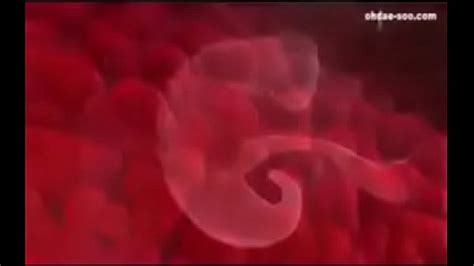 Hot Tamil Movie Xxx Mobile Porno Videos Movies IPornTV Net