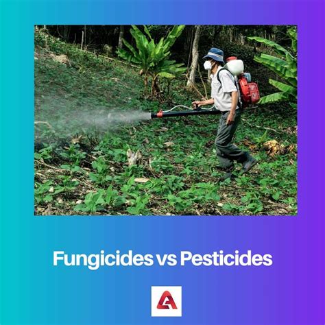Real Flow Vs Money Flow Difference And Comparison