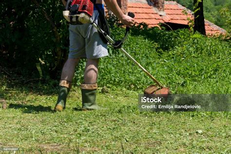 여름날 정원에서 손 잔디 깎는 기계로 키가 큰 풀을 자르는 남자 35 39세에 대한 스톡 사진 및 기타 이미지 35 39세 개념 공원 Istock