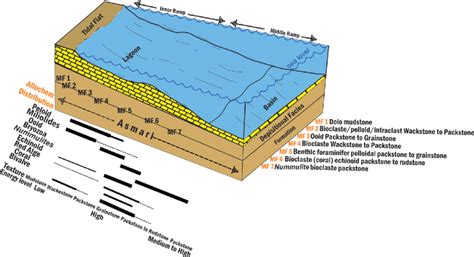 Schematic Block Diagram Of Depositional Environment Of The Asmari